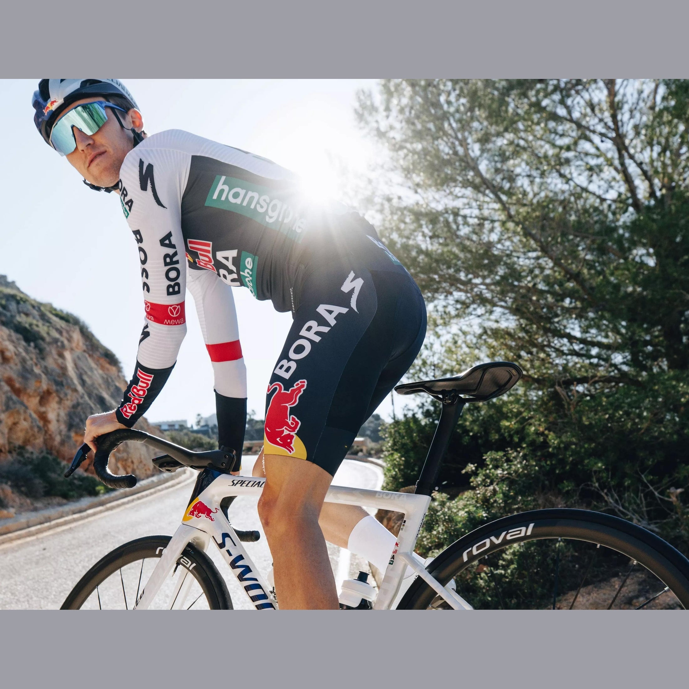 Specialized S-Works Tarmac SL8 Frame - Red Bull Bora Hansgrohe