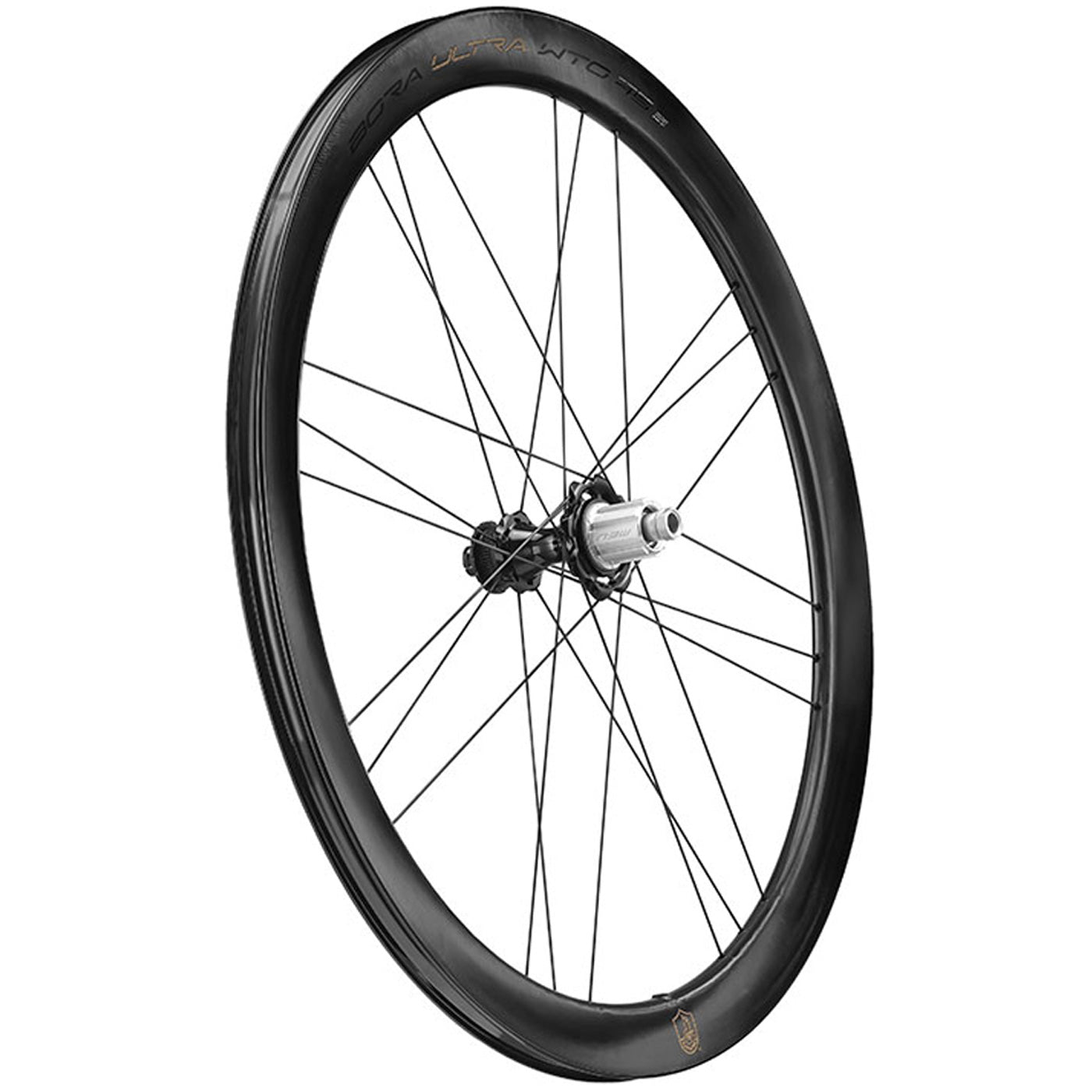 Campagnolo Bora Ultra WTO 45 DB 2wf wheels - DCS