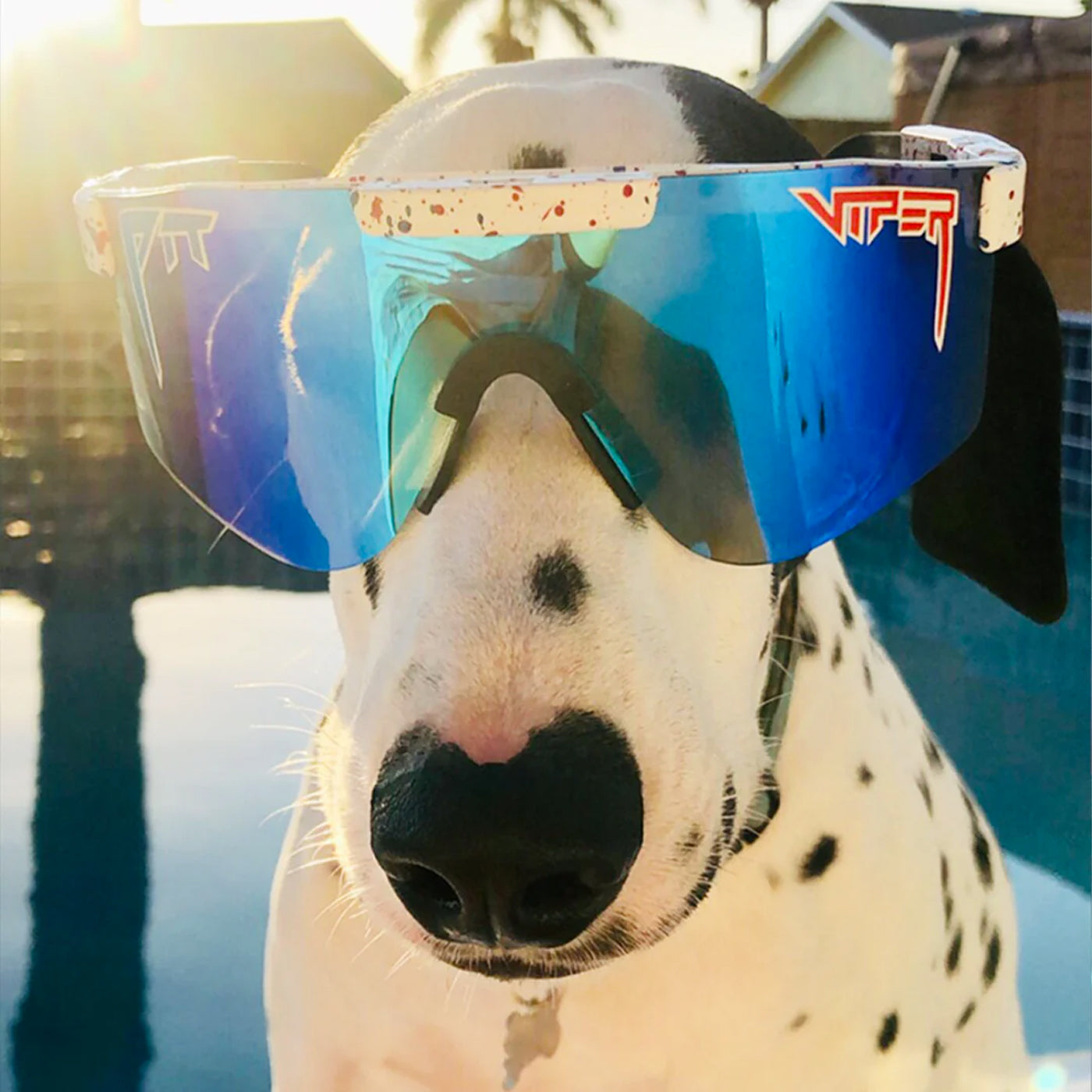 Pit Viper The Originals Double Wide sunglasses - Absolute Freedom