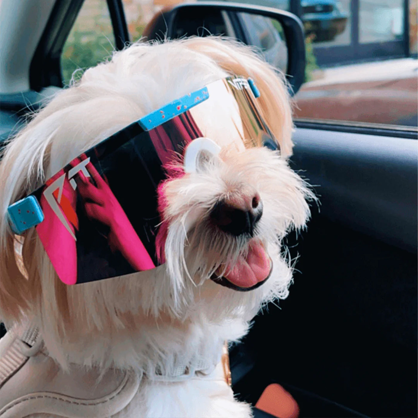 Pit Viper The Originals Double Wide sunglasses - Gobby | All4cycling